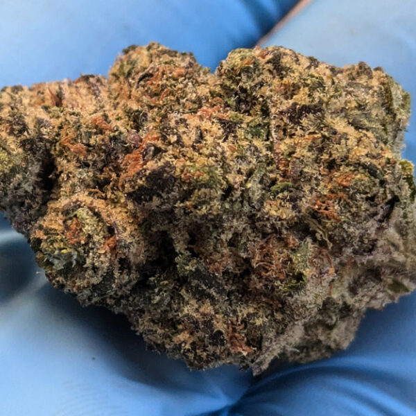 Buy Exotic THCA Flower Online At Texas Weed Syndicate